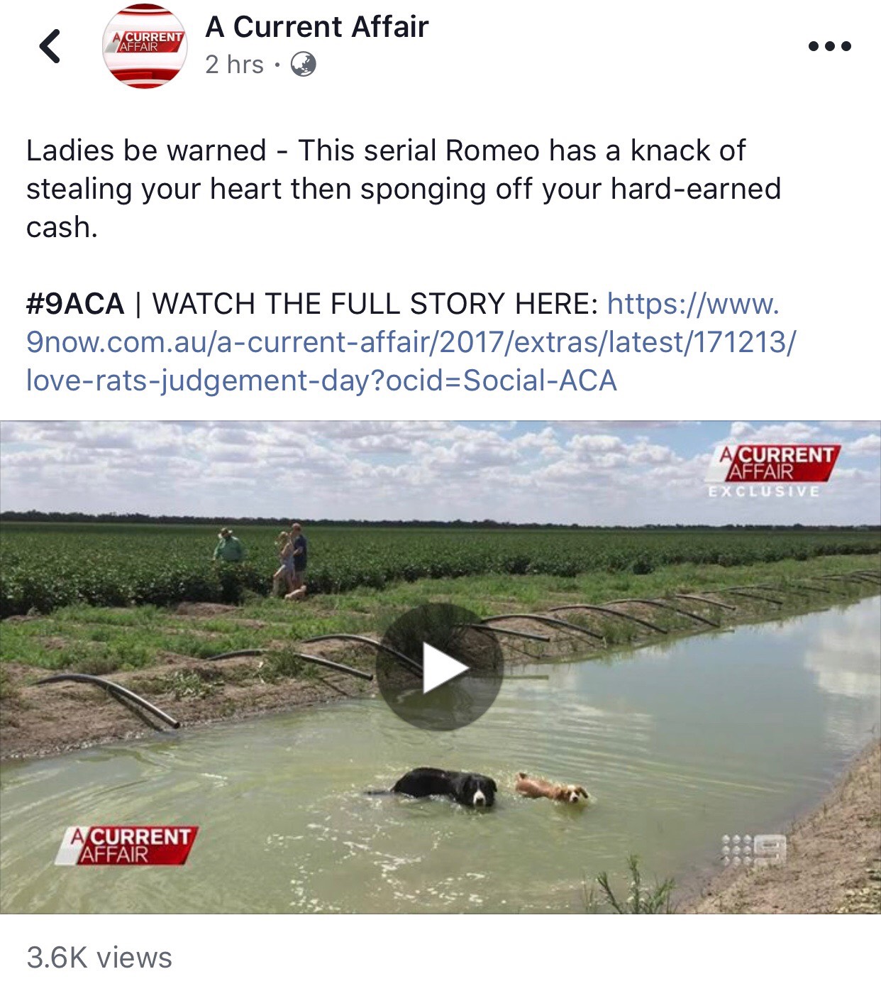 9 – STOP BRETT JOSEPH